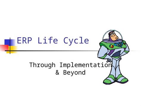PPT ERP Life Cycle DOKUMEN TIPS