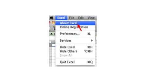 What Version Of Excel Do I Have Pc Guide