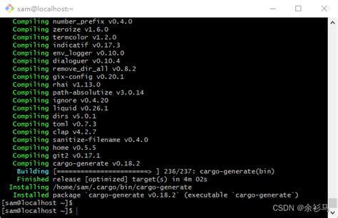 基于 Rust 的 Wasmwasi 开发探索与实践（linux开发环境）wasi安装 Csdn博客