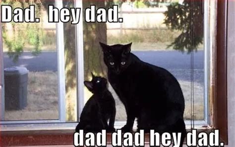 44 Hilarious Hey Cam Dad Jokes To Brighten Your Day