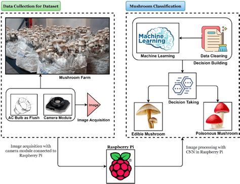 block diagram of mushroom classification with machine learning ml download scientific diagram