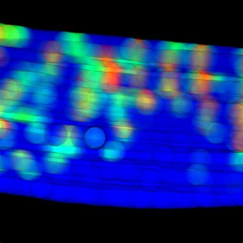 Wifi Power Mapping Hackaday Io