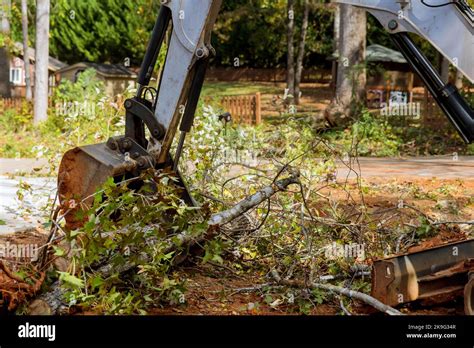 Trees Were Uprooted By Hurricane In Neighborhood And Fell In Street After Storm Tree Were Raised