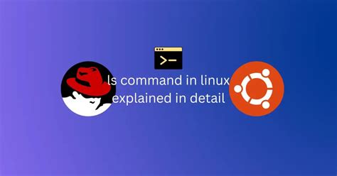 Ls Command In Linux Explained In Detail