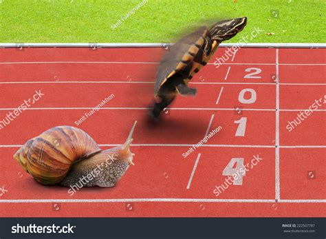 Turtle And Snail Effort Running Competition Sport On Red Rubber Track Near Finish Line With
