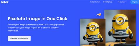 Pixelate Image Online Add Blur Crop And More