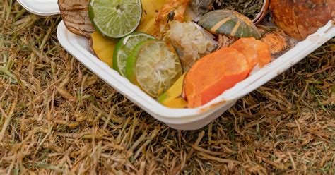 모듬 야채로 채워진 플라스틱 용기 사진 Unsplash의 낭비 이미지