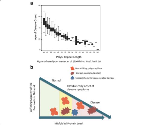 Genetic Background Affects The Protein Folding Environment A Age Of Download Scientific