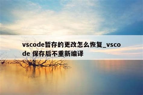 Vscode暂存的更改怎么恢复vscode 保存后不重新编译 陕西卓智工作室