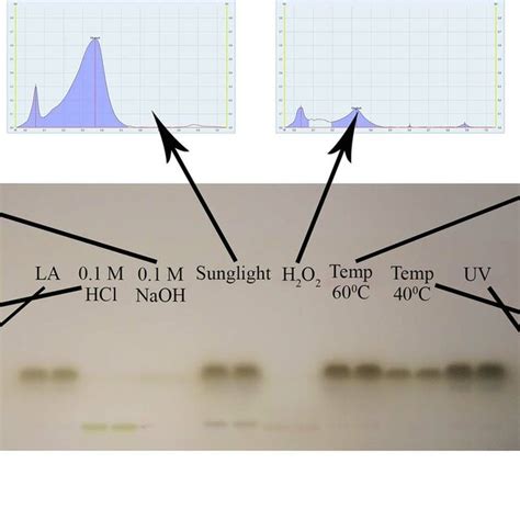 Chromatographic Plates Showing The Effects Of Various Stress Factors Download Scientific