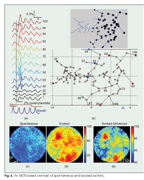 Figure 1 From Understanding And Characterizing Olfactory Responses A