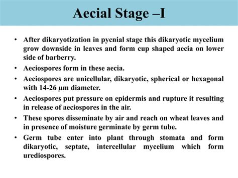 Life Cycle Of Pythium Albugo Erysiphe Claviceps Ustilao And Puccinia Fungi Pptx