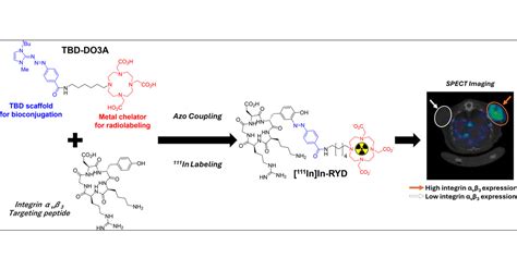 A Novel Bifunctional Chelating Agent For Tyrosine Specific Radiolabeling Of Peptides And
