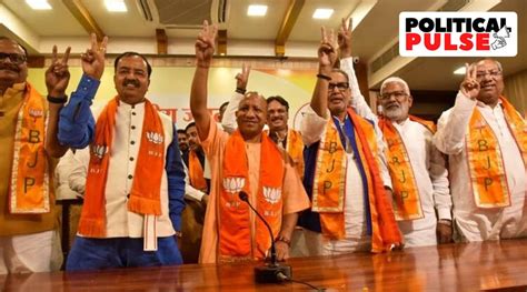 61 Bjp Muslim Candidates Win In Up Ulb Polls In Many Seats Beat Sp