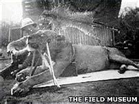 Bbc News Africa Kenya Wants Tsavo Man Eaters Back