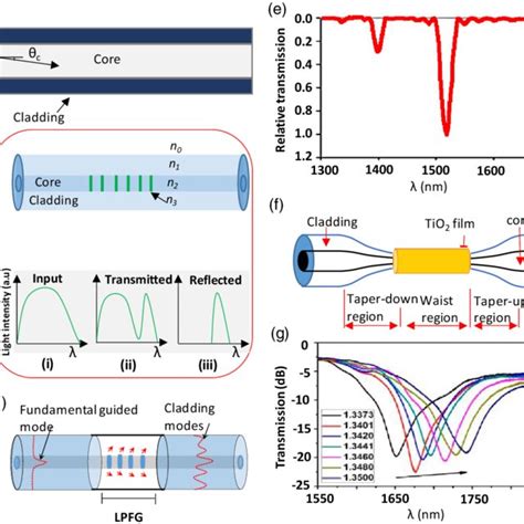 Categories Of Optical Fibers A Schematic Of A Step Index Optical Download Scientific Diagram