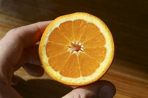 한 손이 반으로 자른 오렌지를 들고 있다 사진 Unsplash의 무료 텍스처 이미지