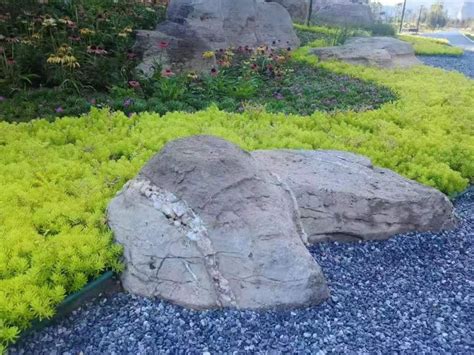 江西省屋顶绿化都可以种植什么金叶佛甲草适合种植在什么地方 花海建设 长景园林网
