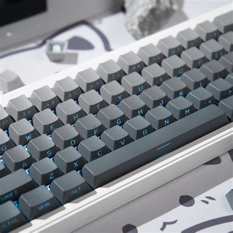 Pbt Doubleshot Keycaps 134 Keys Gradient Gray Backlit Oem Profile Key
