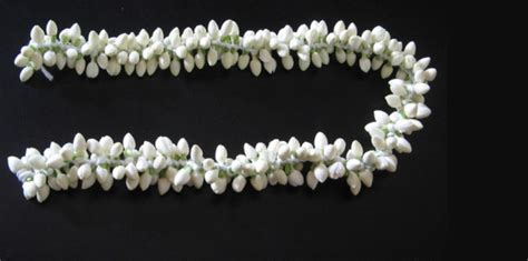 Jasmine String Wholesale Price And Mandi Rate For Jasmine String In India