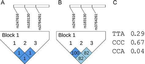Cetp Gene Polymorphisms And Haplotypes Are Explanatory Variables For