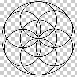 Overlapping Circles Grid Tree Of Life Symbol PNG Clipart Area Art Black And White Circle