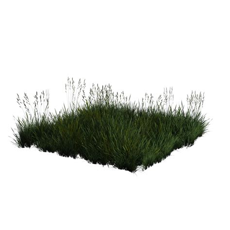 Grass 3d Rendering 15337253 Png Grass 3d Rendering 15337253 Png
