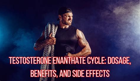 Testosterone Enanthate Cycle Dosage Benefits And Side Effects