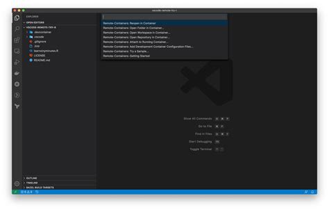 Vscode Remote Try R