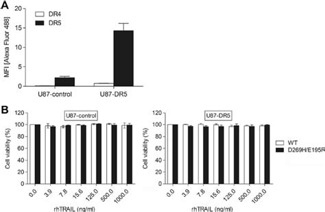 Dr5 Overexpression Does Not Enhance Trail Induced Apoptosis In U87