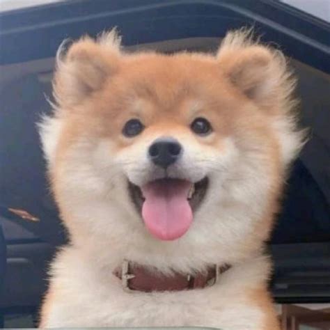 日本机构在美国平台发问：凭什么美国当年能阻止日本的芯片发展，现在却无法阻止中国芯片的崛起？答案揭晓制裁工业体系