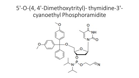 Dna Phosphoramidites Akonscientific