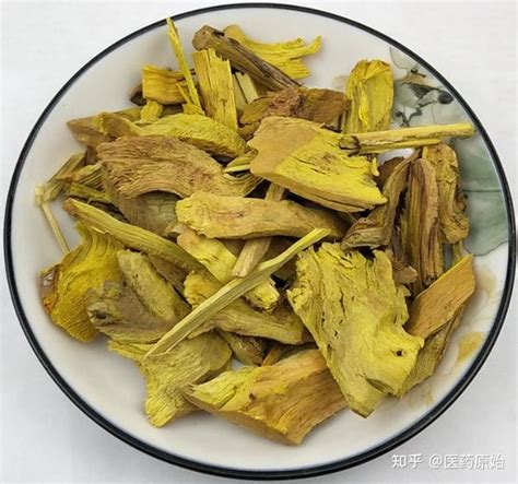 带你识别三颗针 知乎