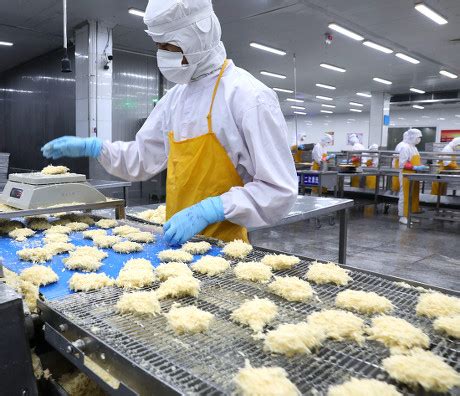 Workers Food Processing Factory Editorial Stock Photo Stock Image Shutterstock