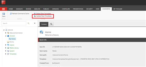 Sitecore Commerce 9 Updating Data Templates Gives Exception Straight To The Core
