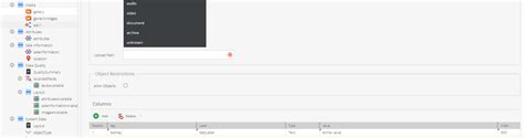 [bug] advanced many to many relation loses configuration on context