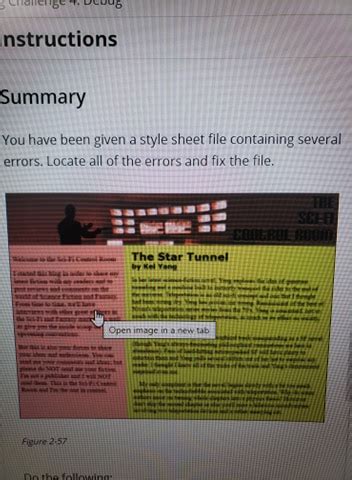Solved 59 Instructions Summary You Have Been Given A Style Chegg