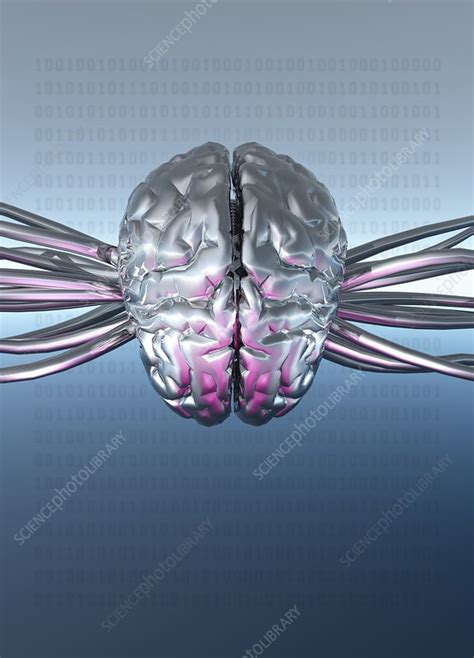 Brain Mapping Conceptual Artwork Stock Image F006 8962 Science Photo Library