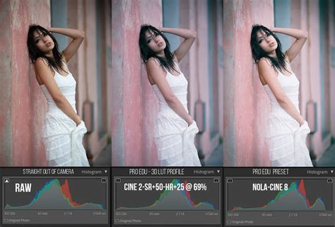 Pro Edu 3d Lut Profiles And Color Grading Presets Nola Natural Light