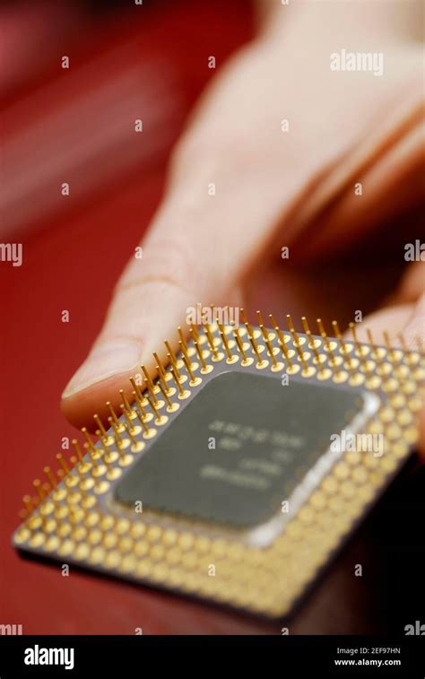 Living Single Chip Hi Res Stock Photography And Images Alamy