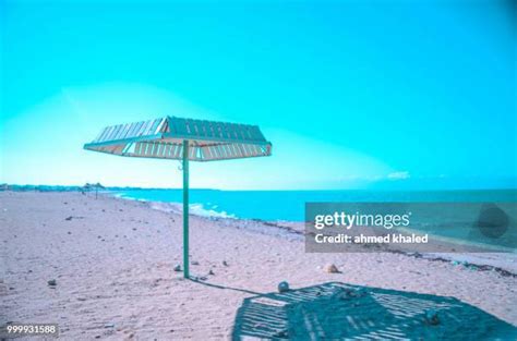 13 Ambrella Stock Photos, High-Res Pictures, and Images - Getty Images