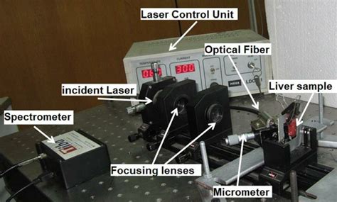 A Distant Detector Approach To Measuring Tissue Diffuse Reflectance Download Scientific