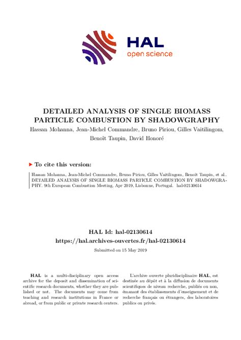 Pdf Detailed Analysis Of Single Biomass Particle Combustion By Shadowgraphy Bruno Piriou