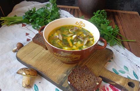 Вкусно и полезно для всей семьи. Грибной суп. - Мама Лара ...