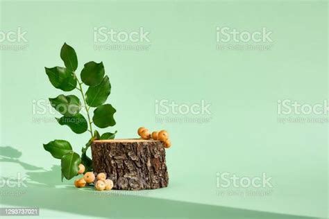 잎 그림자자연 나무 연단 디스플레이 제품 프리젠 테이션 소프트 그린 배경 화장품 또는 미용 제품 프로모션 미니멀한 모형 0명에 대한 스톡 사진 및 기타 이미지 Istock