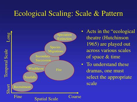 Ppt Emergence Of Landscape Ecology Powerpoint Presentation Free Download Id 4496537