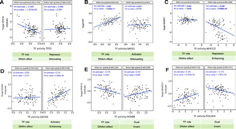 Scenarios Modeled By Methreg A B Dna Methylation Decreases Tf Download Scientific Diagram