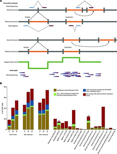 Sequencing Analysis Viewer At Johanna John Blog