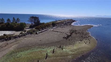 Roberts Creek Beach Sunshine Coast Bc Youtube