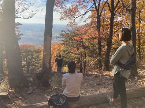 Img 3174orig Microbiome Manipulation Lab